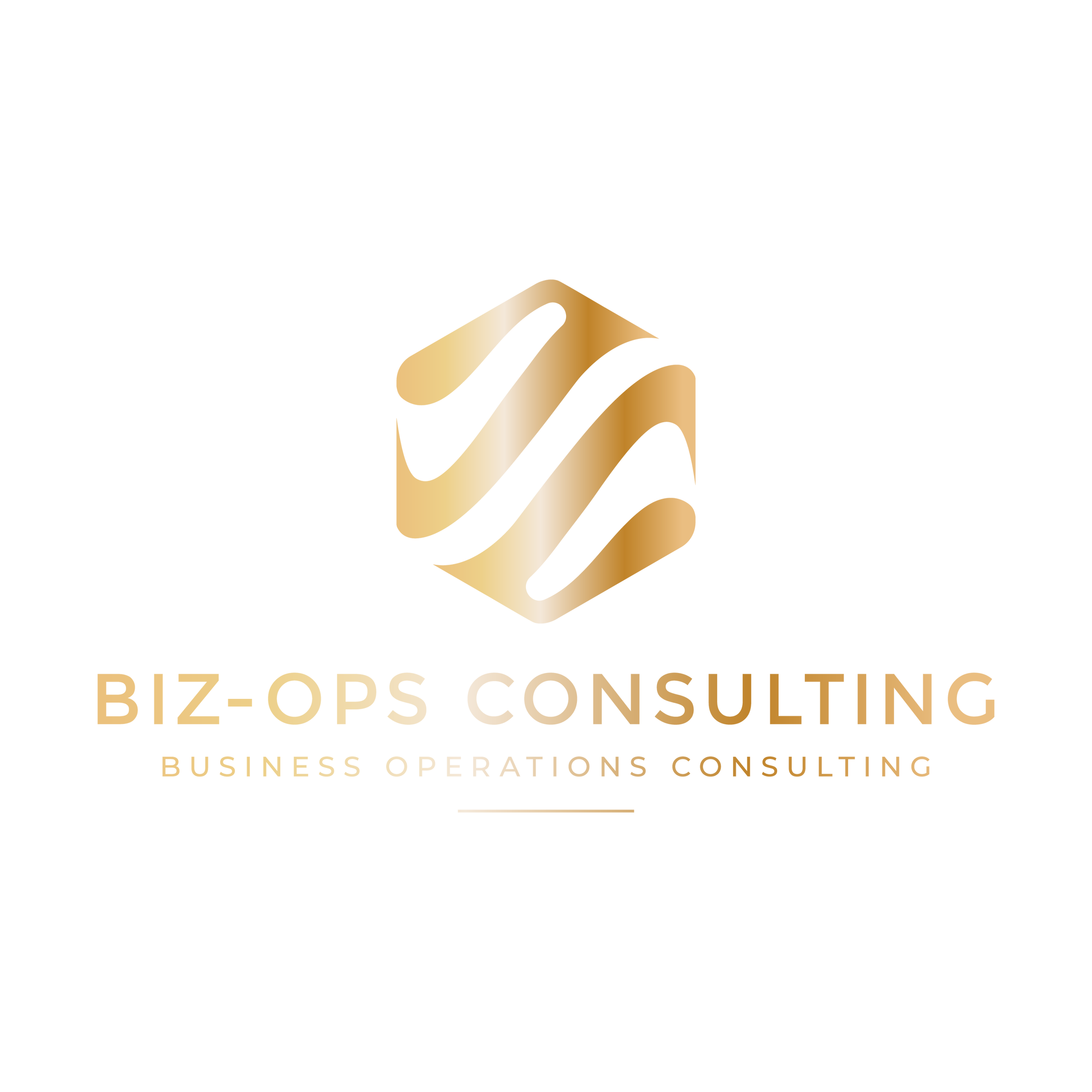 Biz Ops Consulting Logo